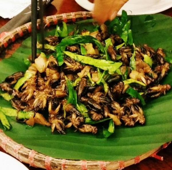 Một số địa điểm tham quan khi đến với Yên Bái